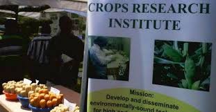 CRI develops more disease-resistant food crops — GARDJA