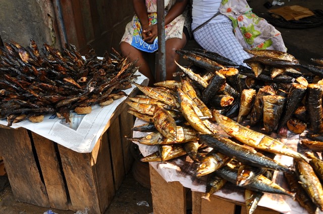 Tema Fishmongers cry over rotten fish due to locked markets — GARDJA